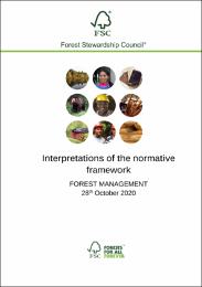 Interpretations of the normative framework